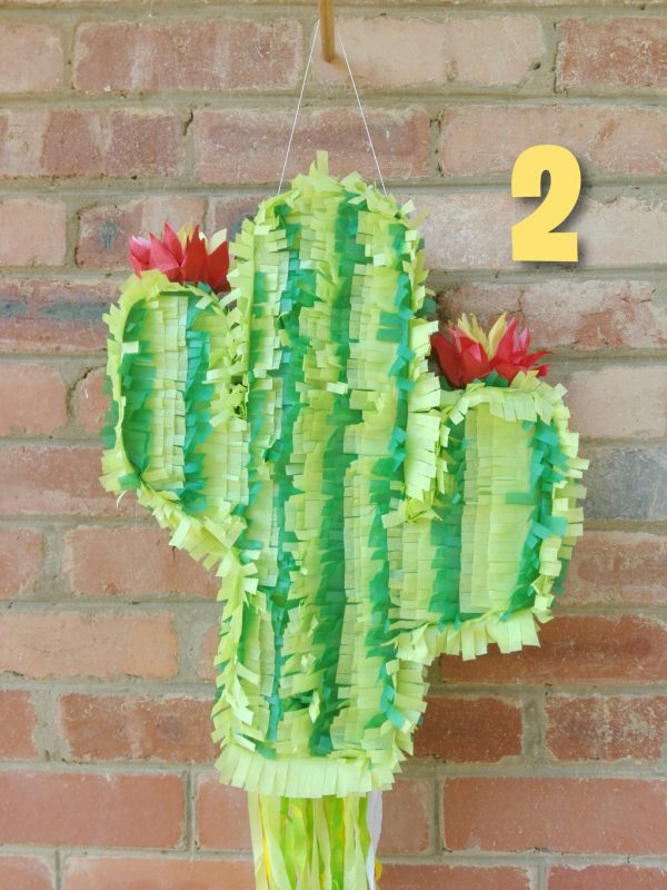 Cactus Pinata 2 - propnpinata